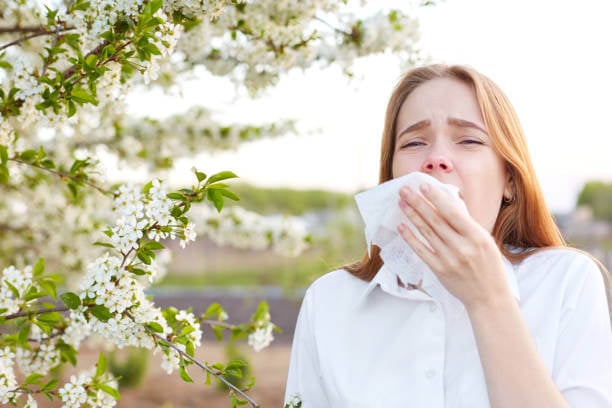 Tree Allergy Symptoms & Treatment - New York ASC
